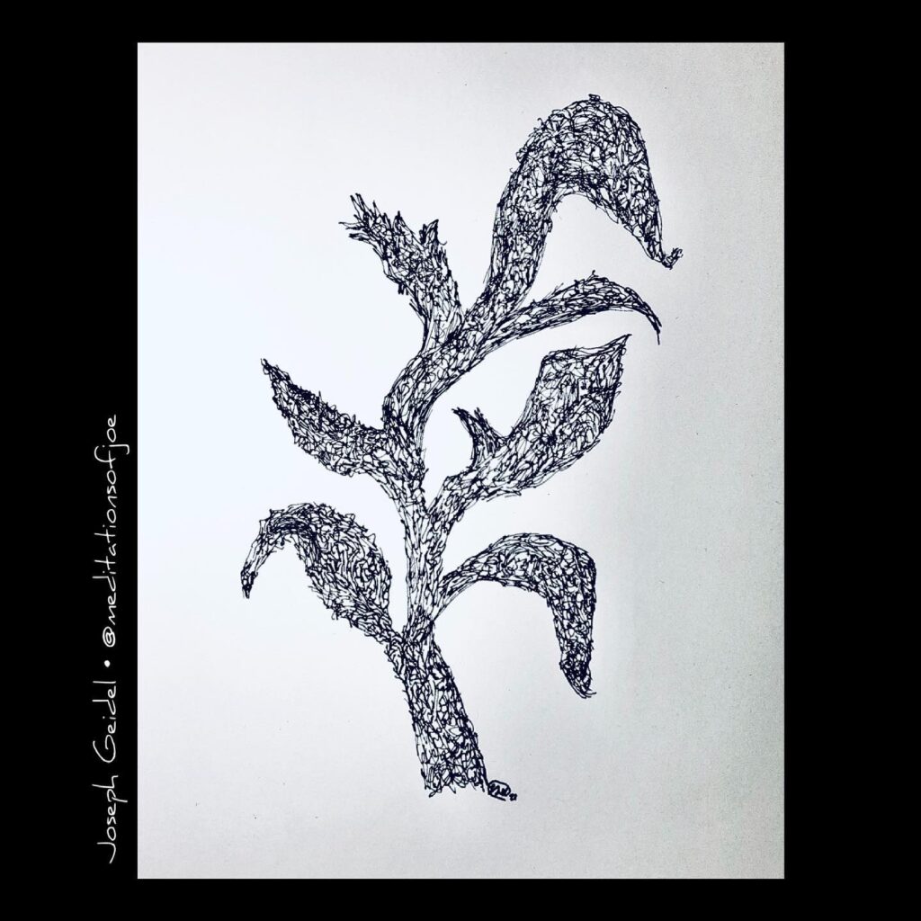 life resonance - Joseph Geidel